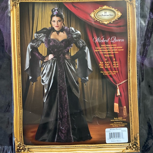 Incharacter Costume | Other | Incharacter Wicked Queen Halloween Costume | Poshmark